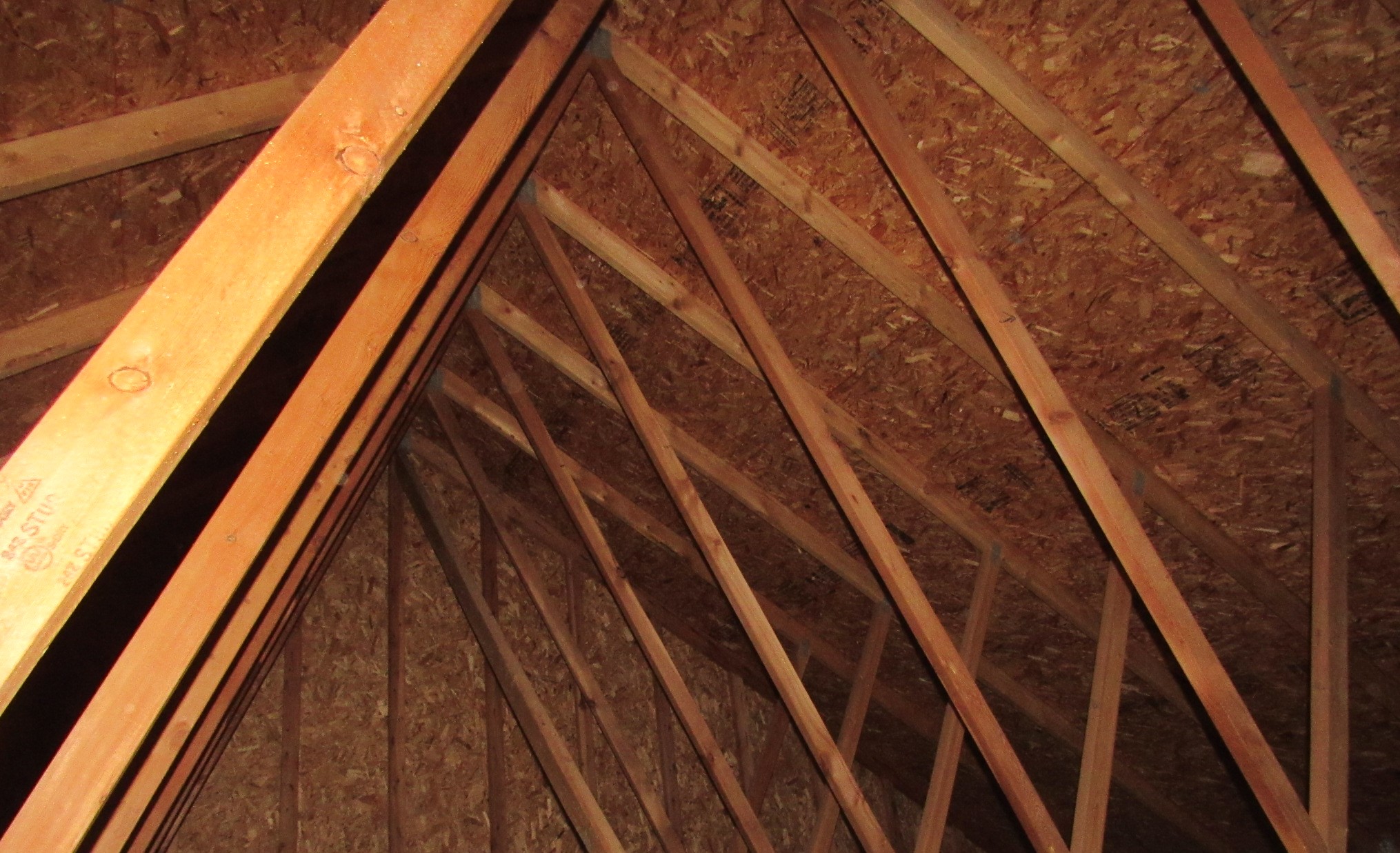 Attic Inspection – Home Inspections Saint Paul, MN
